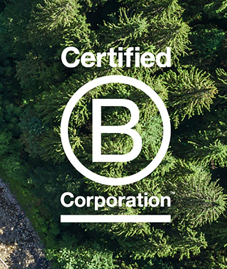 Investing in Impact: The Benefits of B Corp Certification