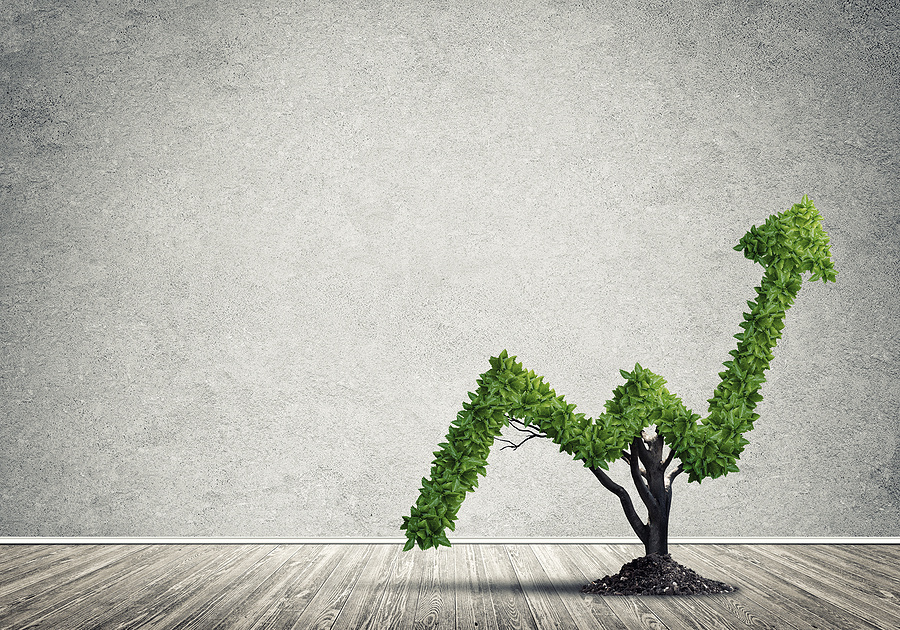 The Growing Intersection of Private Equity and Sustainability