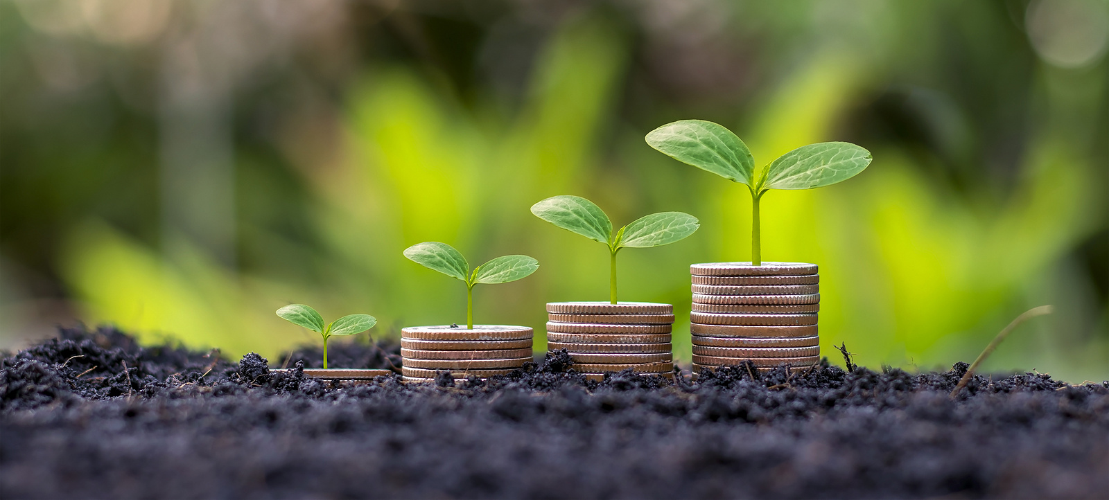 Realistic Financing Options for Net Zero Initiatives