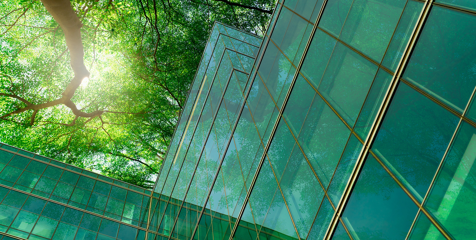 The Evolution of LEED