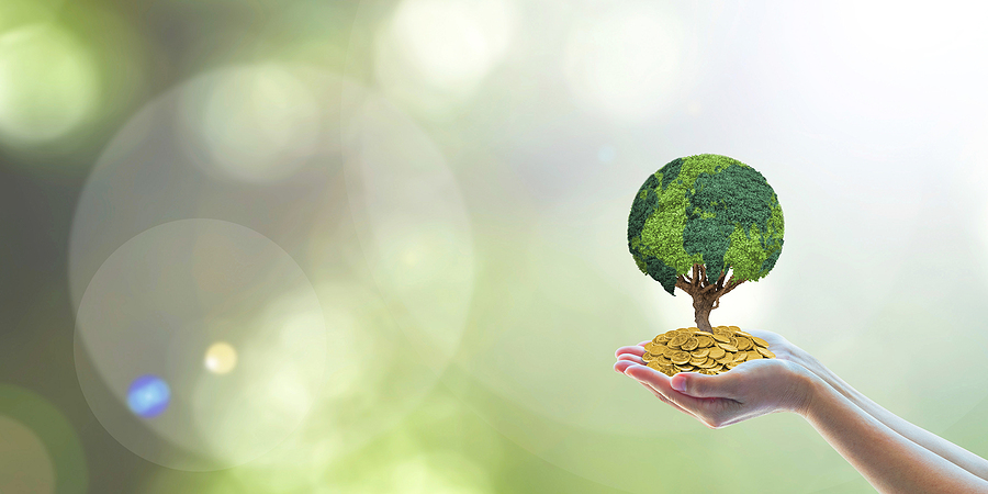 Understanding the Costs of Your Sustainable Journey